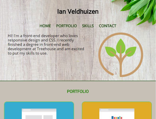 Ian Veldhuizen Web Design